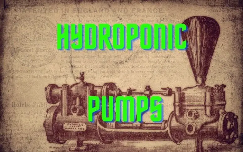 Best Hydroponic Pumps Review: The Basic Guide To Water Systems ...
