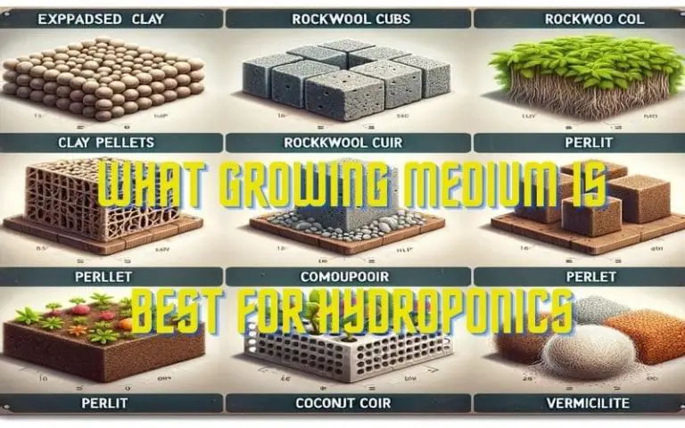 What Growing Medium Is Best For Hydroponics? Questions Answered ...